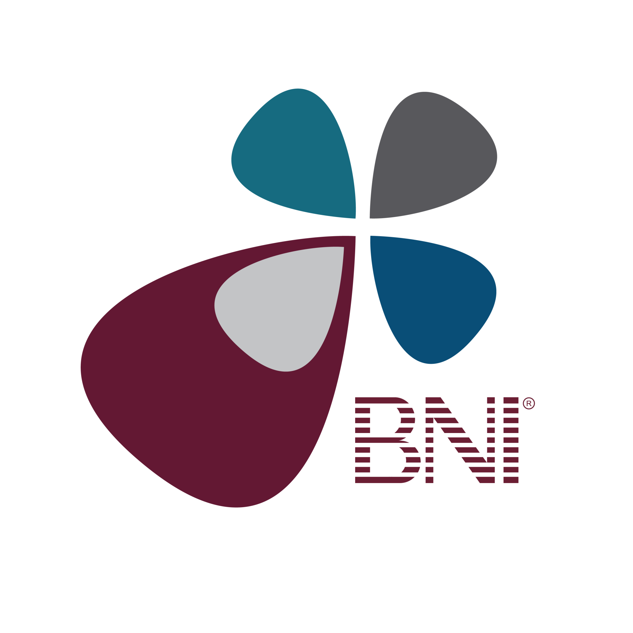 LANCEMENT DE BNI UNIVERSITY | BNI successnet